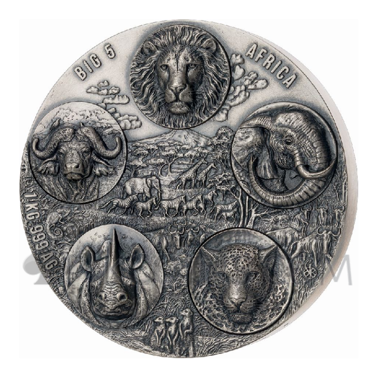 Big Five Africa - Completer Coin 10000 Francs CFA 1kg Ivory Coast 2023 ...