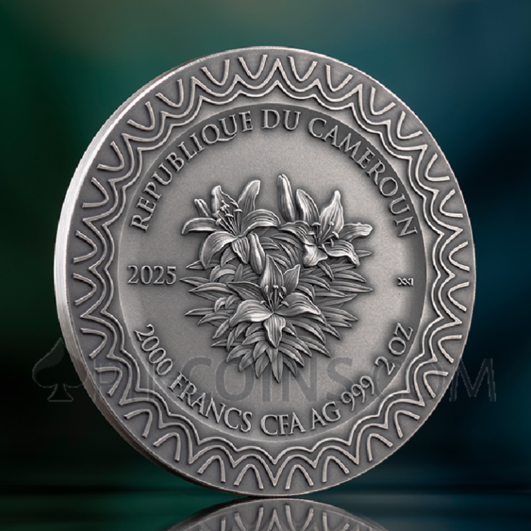 Aurora - Celestial Beauty 2oz 2000 Francs CFA Cameroon 2025 Coin ...